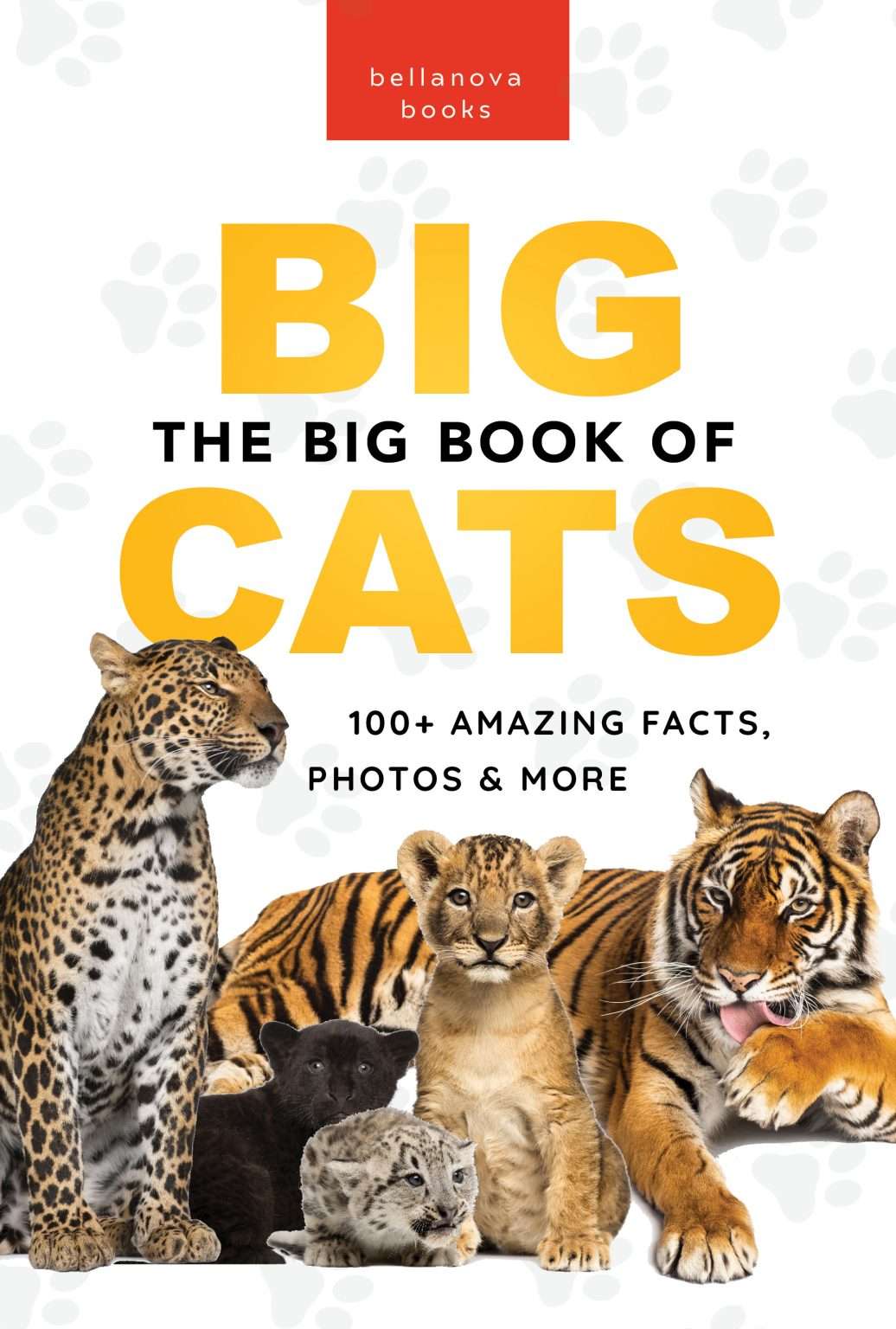 The Ultimate Leopard Book for Kids | Bellanova Books