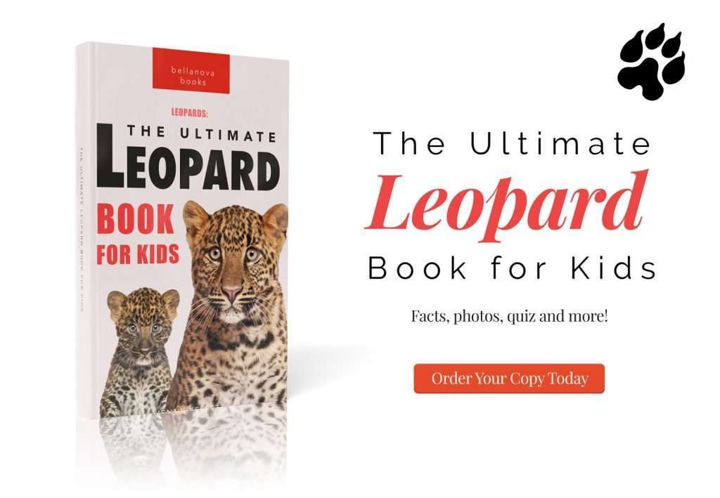 The Ultimate Leopard Book for Kids | Bellanova Books