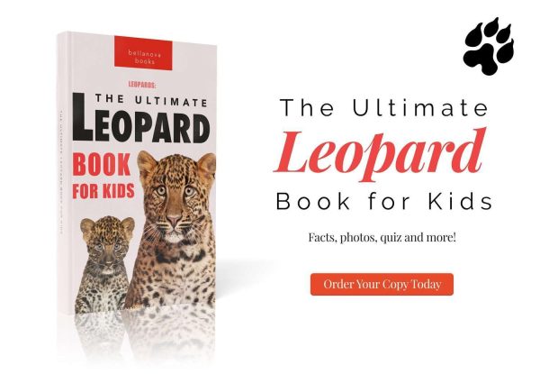 The Ultimate Leopard Book for Kids | Bellanova Books