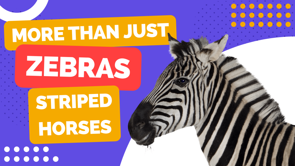 Zebra Facts: More Than Just Striped Horses | Bellanova Books