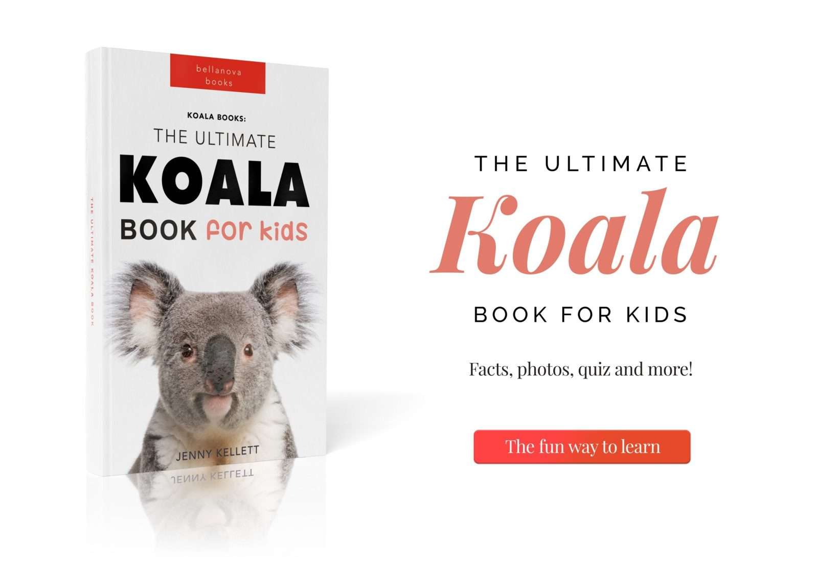 Baby Koala Facts: From Pouch to Tree | Bellanova Books