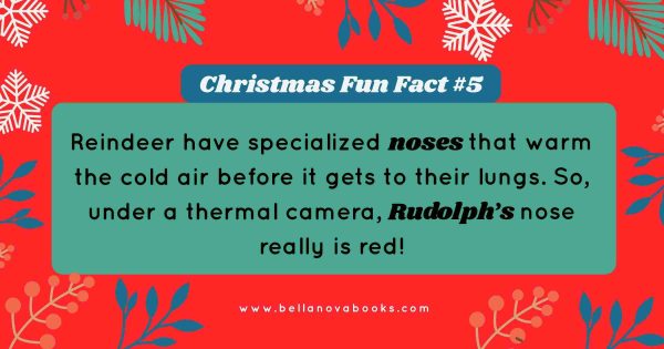 20 Weird Christmas Facts You Didn't Know You Wanted to Know | Bellanova ...