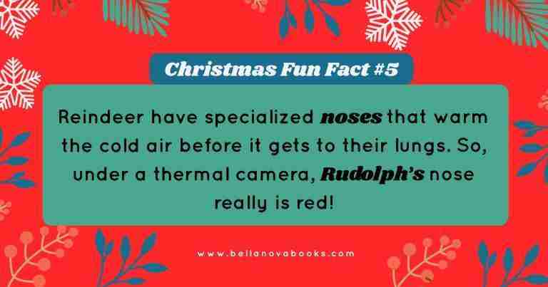 20 Weird Christmas Facts You Didn't Know You Wanted to Know | Bellanova ...