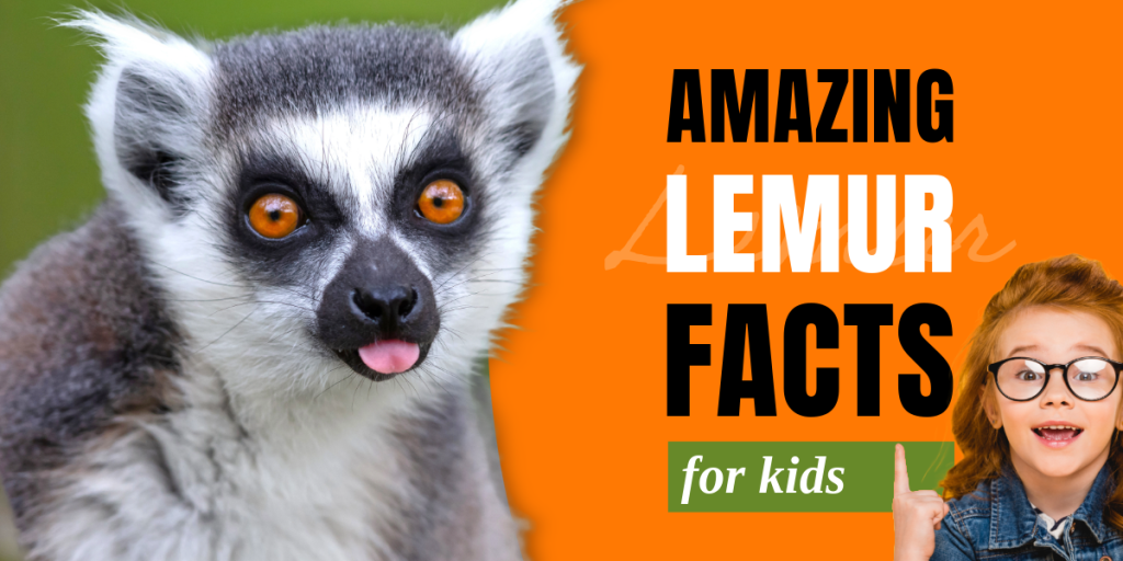 10 Unbelievable Facts About Lemurs for Kids | Bellanova Books