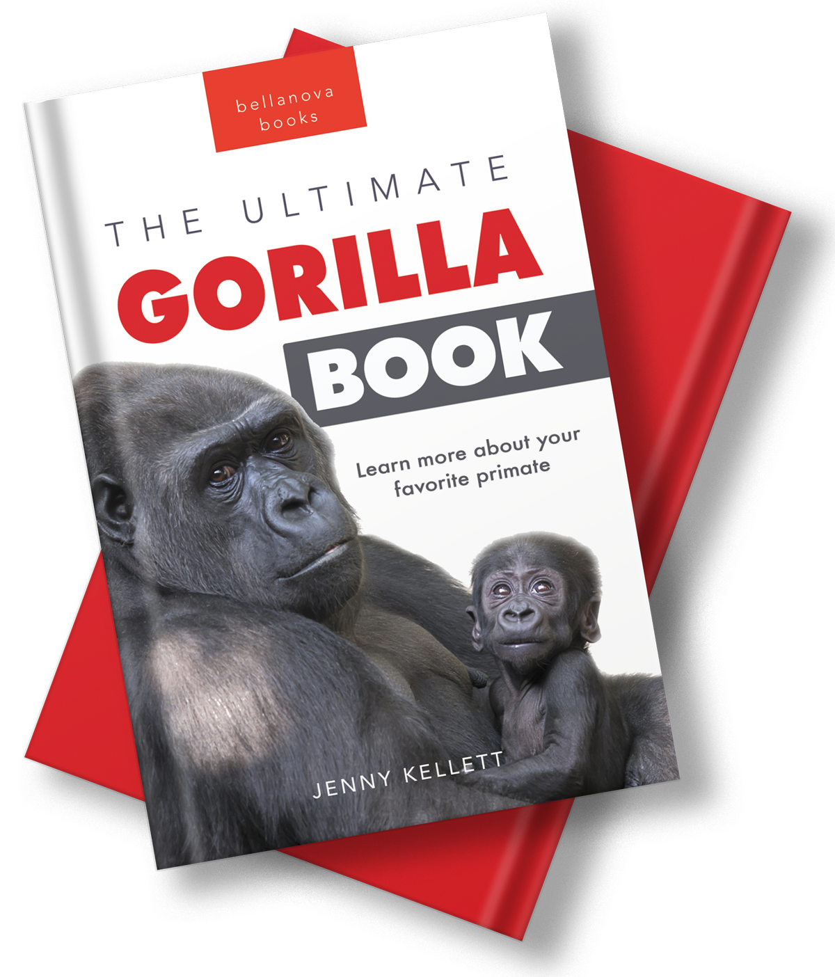 Amazing Gorilla Fun Facts You Probably Didn't Know | Bellanova Books