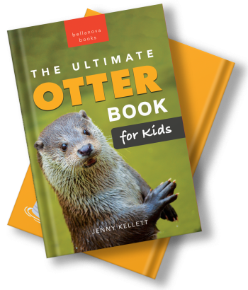Where Do Otters Live Around the World? | Bellanova Books