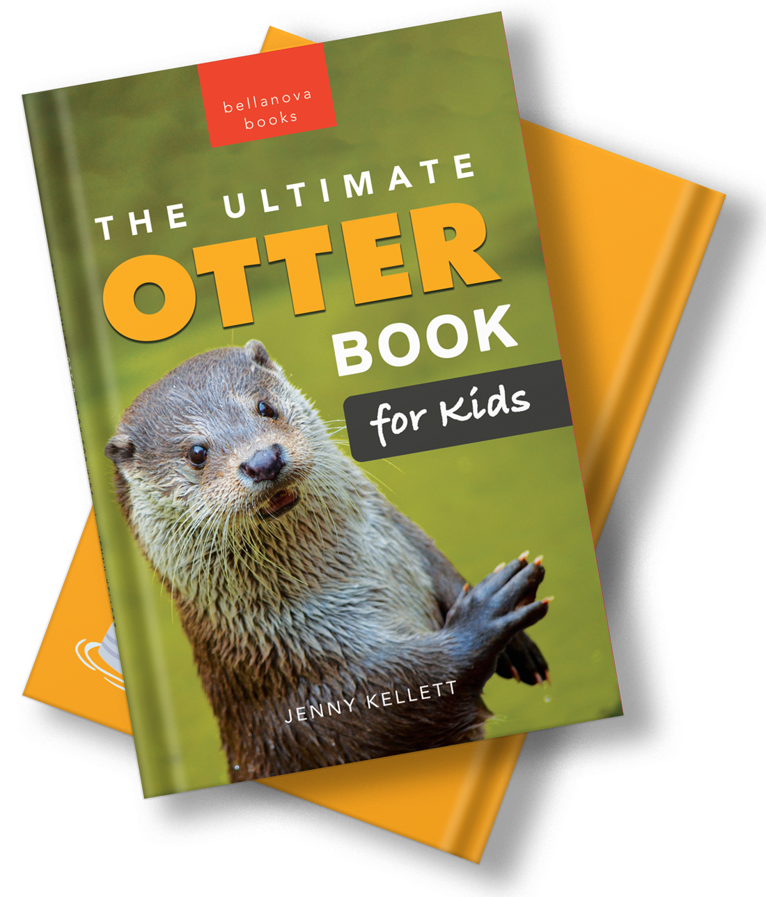Where Do Otters Live Around the World? | Bellanova Books